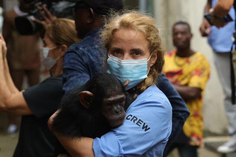 „Ők a családom”: így dolgozik Jane Goodall utóda a kongói menhelyen ...